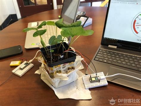 如何制作植物监测仪 df创客社区