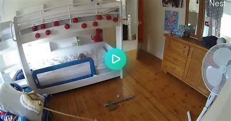 Protect Your Privacy Album On Imgur