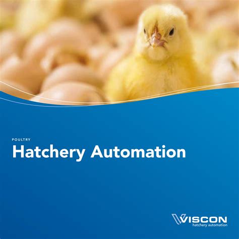 Viscon Hatchery Automation Poultry By Viscon België Issuu