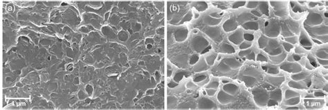 Sem Micrographs Of Cryo Fractured Cross Sections Of Uncoated 3 D