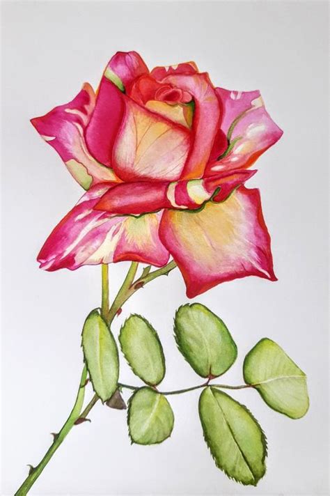 Малюнок акварель — ціна 400 грн у каталозі Картини Купити товари для дому та побуту за доступною