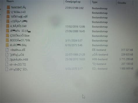 I Put Monika On My Usb Stick Her Monika Chr File Turned Into This R Ddlc