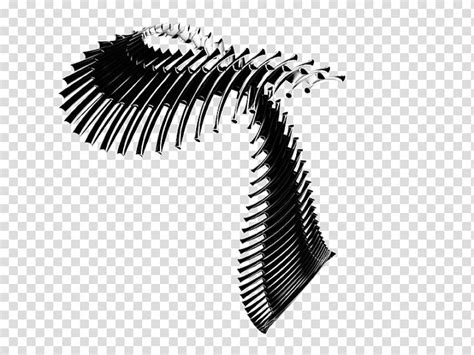 Free Abstract Spine D Render Free For Commercial Use Black Illustration Transparent Background