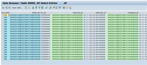 Epm Model Data Generation Sapcodes