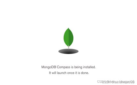 Mongodb和mongodb Compass的安装配置教程 Csdn博客