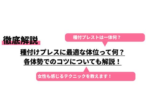 種付けプレスに最適な体位って何各体勢でのコツについても解説Cheeek チーク