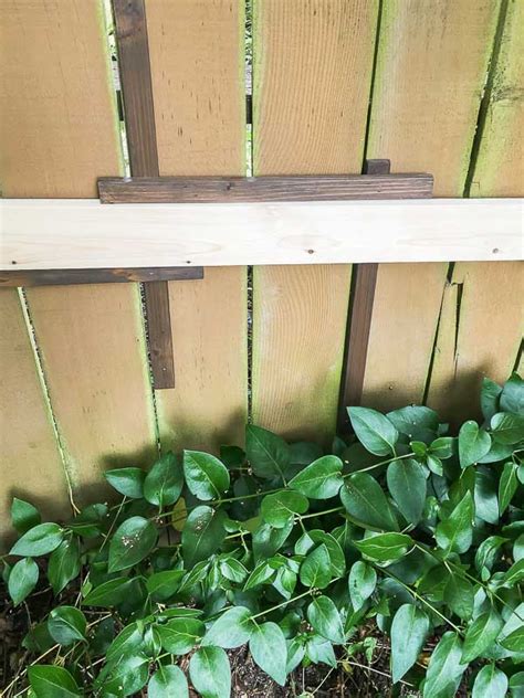 DIY Fence Trellis Pretty Handy Girl