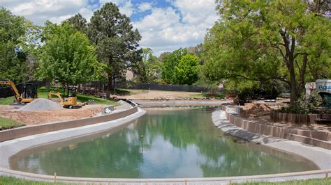 The Unm Duck Pond Returns Beloved Landmark To Reopen In August Unm