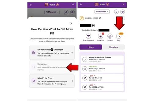 Fitur Exchange Muncul Di Pi Wallet Beli Pi Coin Bisa Pakai Kartu Kredit Atau Debit IKN Pos