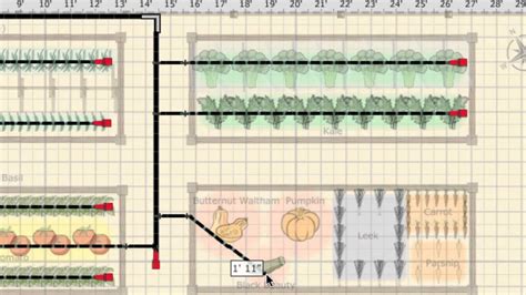 Typical Irrigation Layout