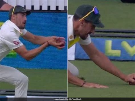 Thats A Disgrace Australia Legend Reacts To Umpires Decision On Mitchell Starcs Catch
