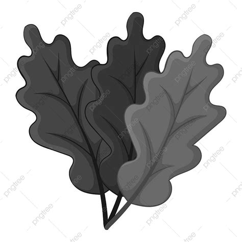 흰색 배경 벡터 일러스트 레이 션에 고립 된 흑백 스타일에서 단풍 아이콘 단색화 벡터 요소 Png 일러스트 및 벡터 에 대한 무료 다운로드 Pngtree