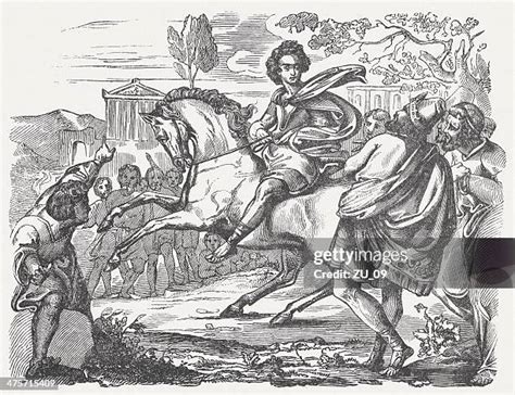 Alexander Bucephalus Photos And Premium High Res Pictures Getty Images