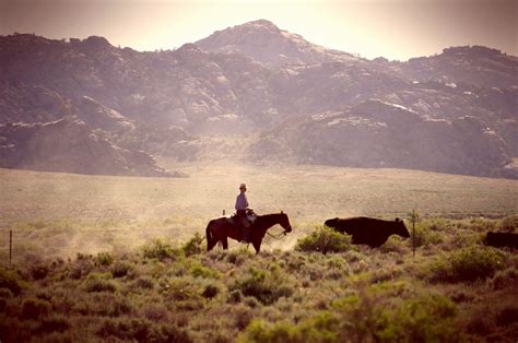 Trinity Seely Photos