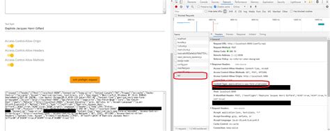 CORS の挙動の観察と preflight request の検証 Ewig Leere Lab