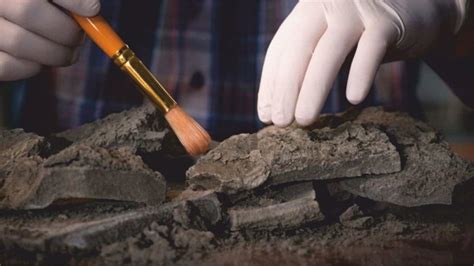 CARBON DATING Current Affairs Editorial Notes By VajiraoIAS
