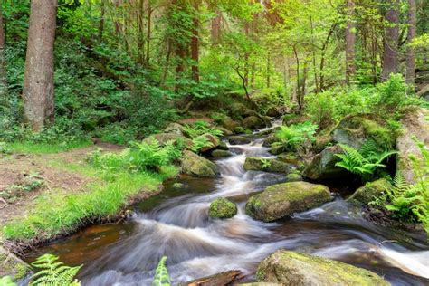 Premium Photo Stream In The Forest England Landscape In The National