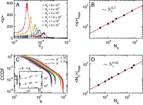 finite size scaling analysis of the ab model a susceptibility