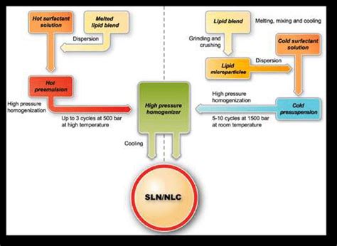 Hot And Cold High Pressure Homogenization Technique In The Production Download Scientific