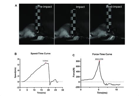 Impact Process And Impact Related Parameters N 5 A Impact Download Scientific Diagram