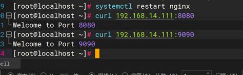 Nginx三种不同类型的虚拟主机（基于域名、ip 和端口）nginx虚拟主机 Csdn博客