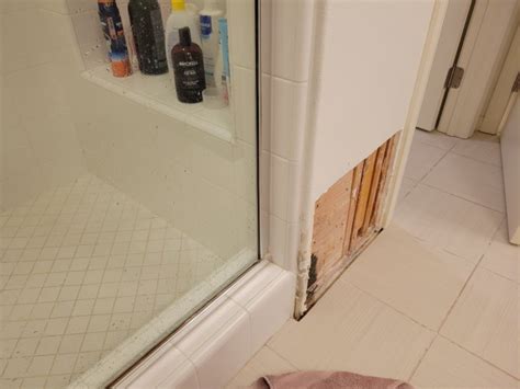Mysterious Shower Leak Terry Love Plumbing Advice And Remodel Diy