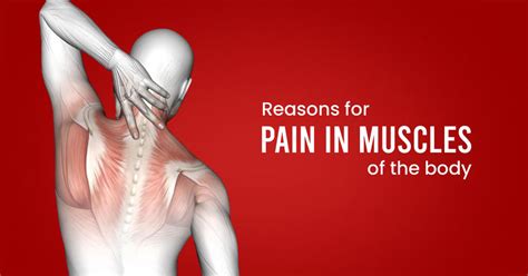 Full Body Pain Causes
