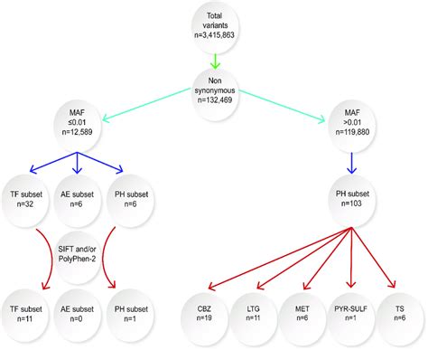 Methodological Scheme For Filtering Genomic Variants In Sjs Ten