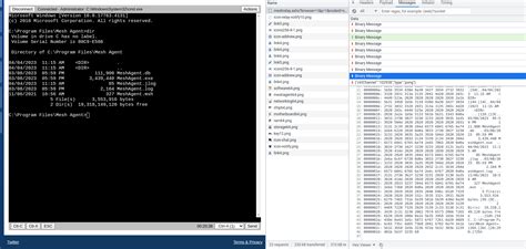 Need Help Regarding Terminal And File System Protocol · Issue 5071 · Ylianstmeshcentral · Github