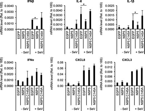 Interaction Of Hdac2 With Sars Cov 2 Nsp5 And Irf3 Is Not Required For
