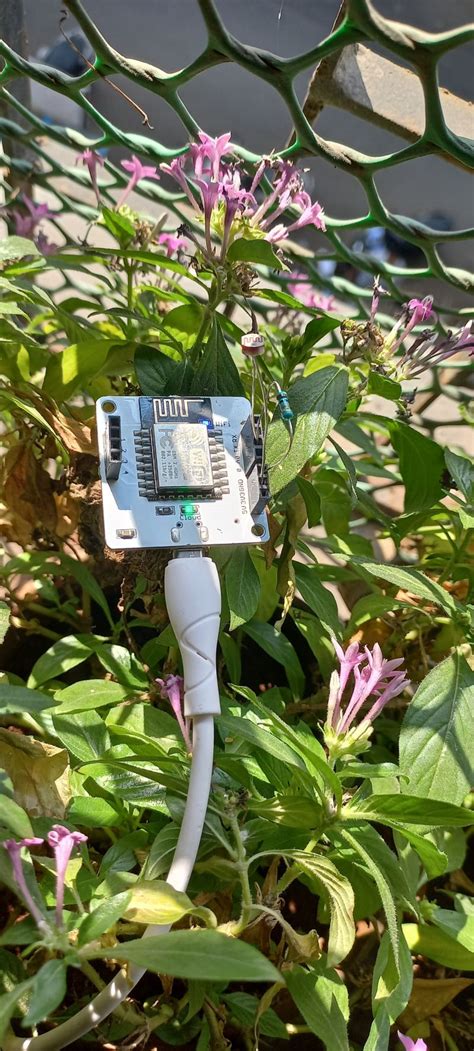 Radhika Tamhankar On Linkedin Iot Iot Miniproject Product Inovation