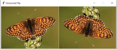 Solved Use Only Cimage Library Not Pil Please Do Not Copy