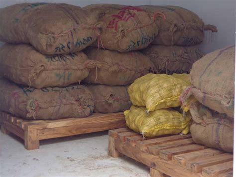 Innovative Potato Storage For Smallholder Farmer Households In Bangladesh International Potato