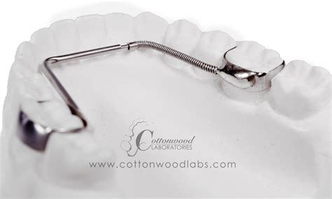 Cottonwood Labse Arch Cottonwood Labs