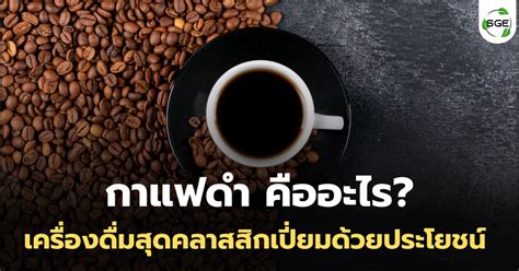 กาแฟดำ คืออะไร ทำความรู้จักเครื่องดื่มที่เปี่ยมไปด้วยประโยชน์ Sge Recipe