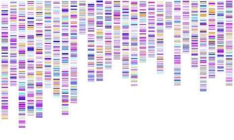 960 Genomic Data Visualization Stock Illustrations Royalty Free Vector Graphics And Clip Art