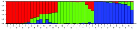 Model Based Population Structure Analysis Of 42 Accessions Of