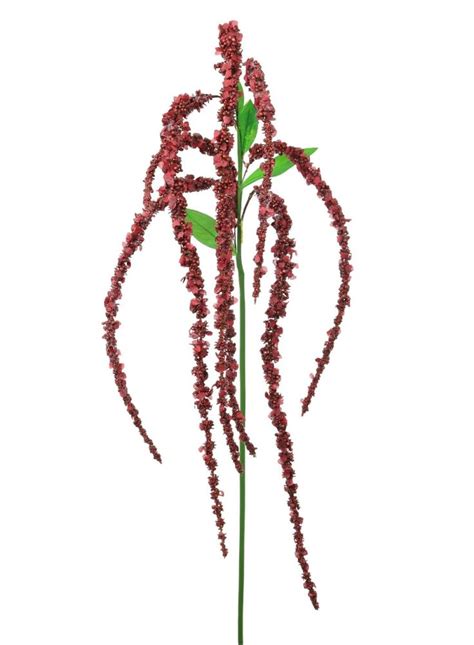 Amaranthus Spray 3 Colours