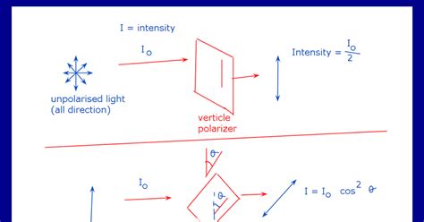 Plaz Physics Polarization Of Light Formula