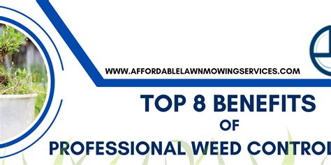 Top 8 Benefits Of Professional Weed Control Services