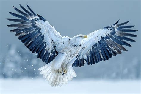 An Anamorph Bald Eagle Flying With A Spatulate High Quality High