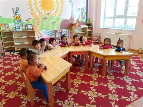 Дүрстэй танилцах Математикийн Жаргалтай Жим Цэцэрлэг