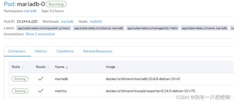 K8S 部署 MariaDB_primary.persistence.size-CSDN博客