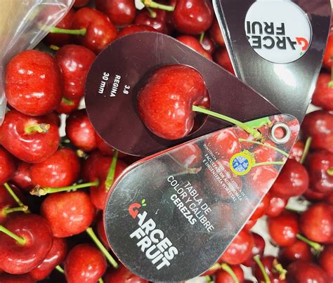 Jd Fresh Launches 2025 Chilean Cherries Season To Offer Amazing Quality
