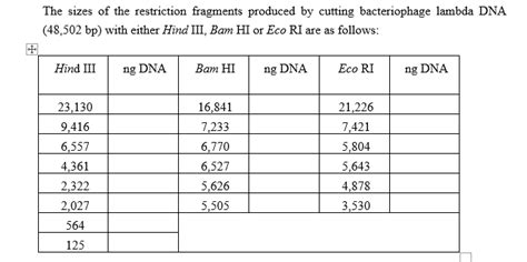 Answered The Sizes Of The Restriction Fragments… Bartleby