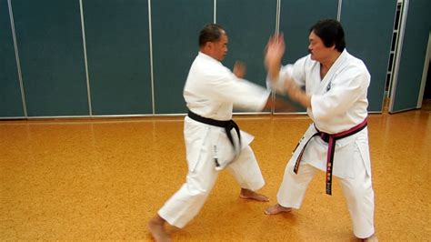 Kenpo Karate Green Belt Techniques At Magda Salas Blog