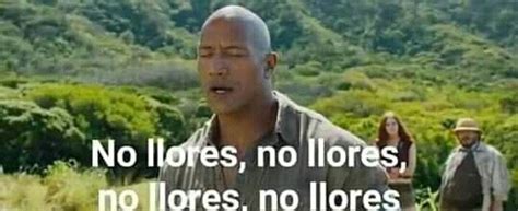 Plantillas De Memes No Llores No Llores No Llores No Llores