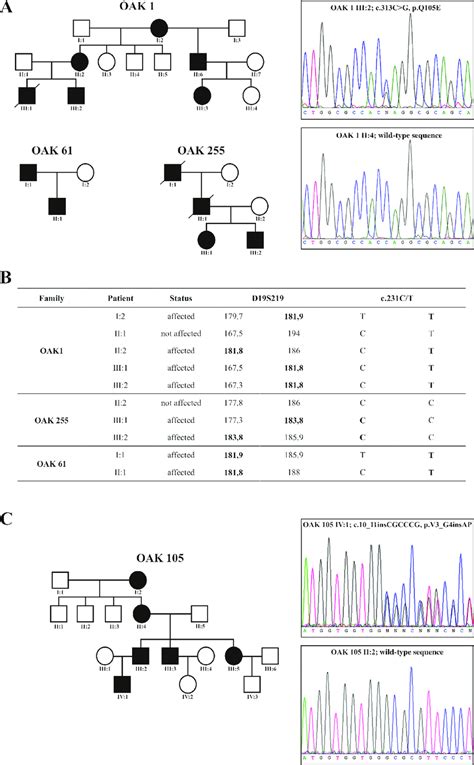 Pedigrees And Sequence Traces Of Opa3 Mutations Identified In Patients
