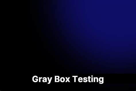 Gray Box Testing