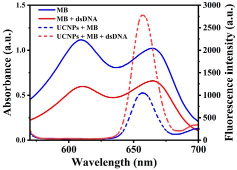 Biosensors Free Full Text Development Of A Dual Mode Ucnps Mb